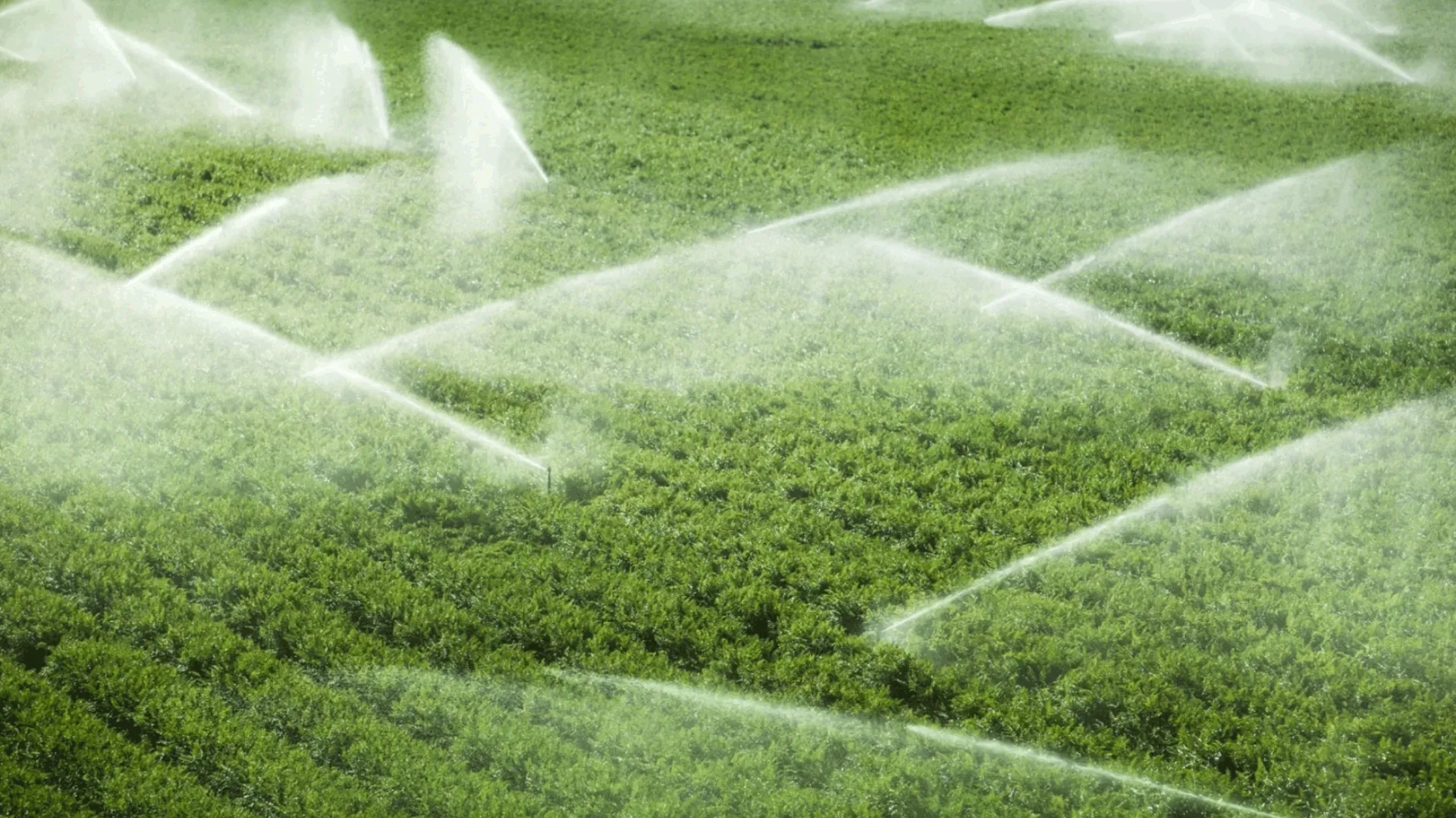 Pengertian, Tujuan, dan Jenis-Jenis Irigasi Modern