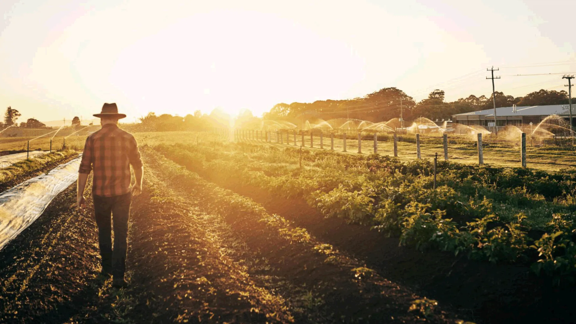 Sistem Klasifikasi Tanah: Pengertian dan Jenisnya