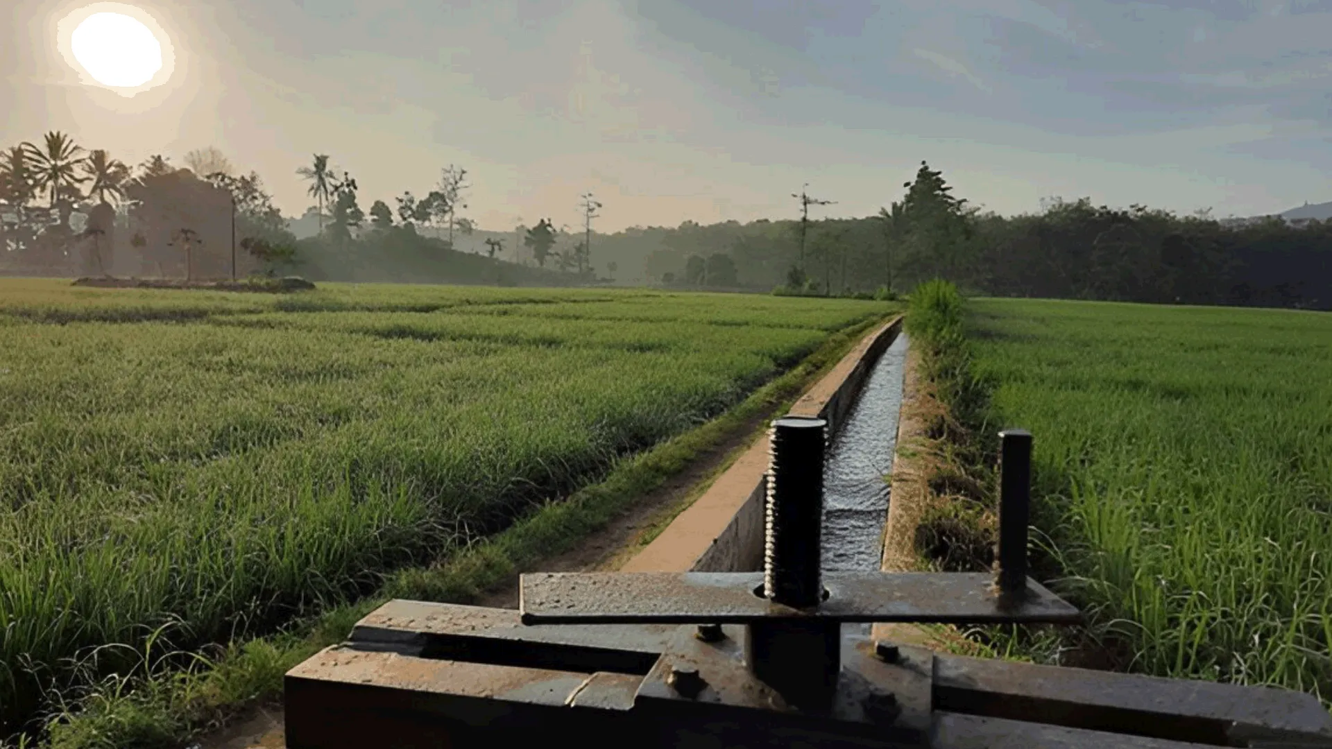 Pengertian, Tujuan, dan Jenis-Jenis Irigasi Modern